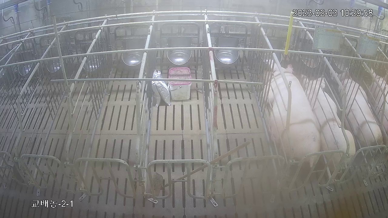 Modon BCS Object Detection Dataset by deum jung