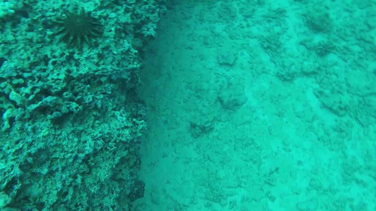 CV Project Object Detection Dataset by Abdelmageed ahmed