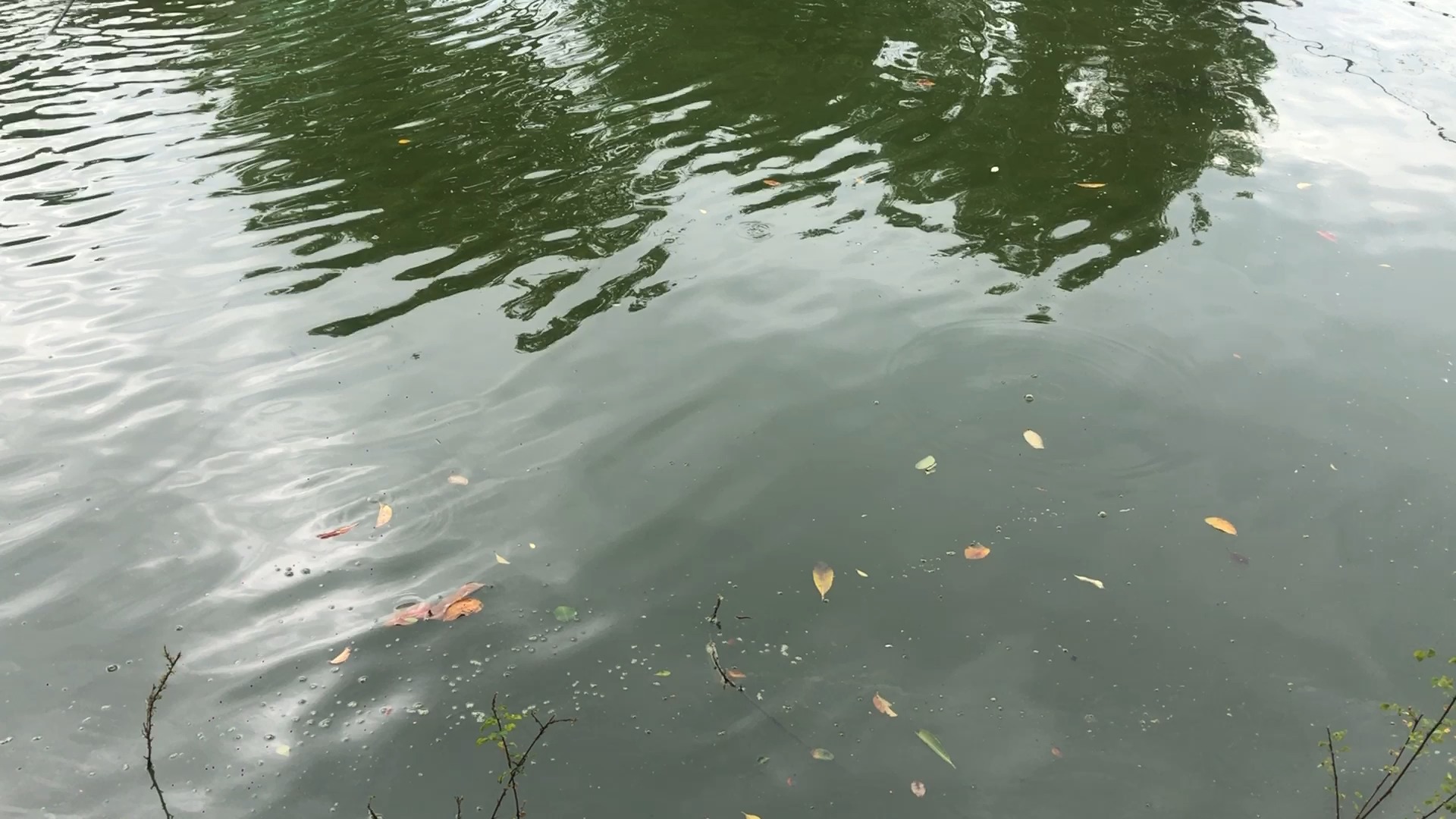 Trashdetection Object Detection Dataset And Pre Trained Model By Counting Cells 7606