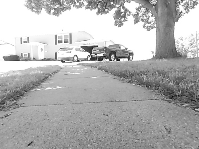 Trees & Houses Object Detection Dataset and Pre-Trained Model by Konstantin Kashirin