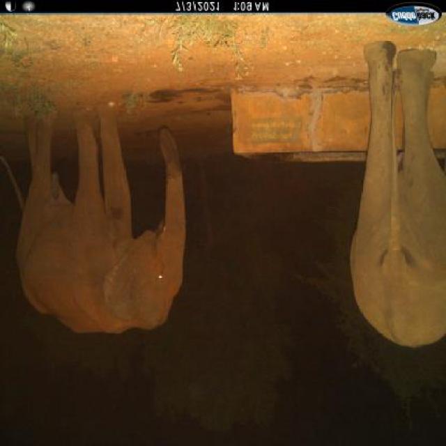 pillwon_obj Object Detection Dataset by school