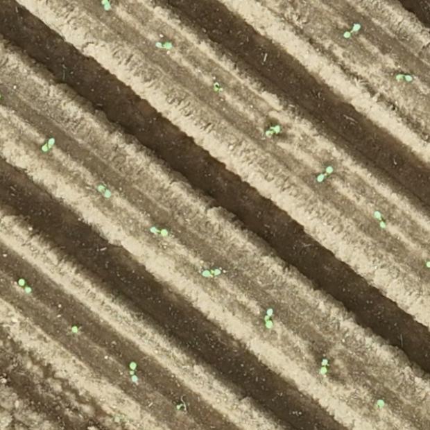 Testdataset 20230922 Object Detection Dataset By Broccolikoyama