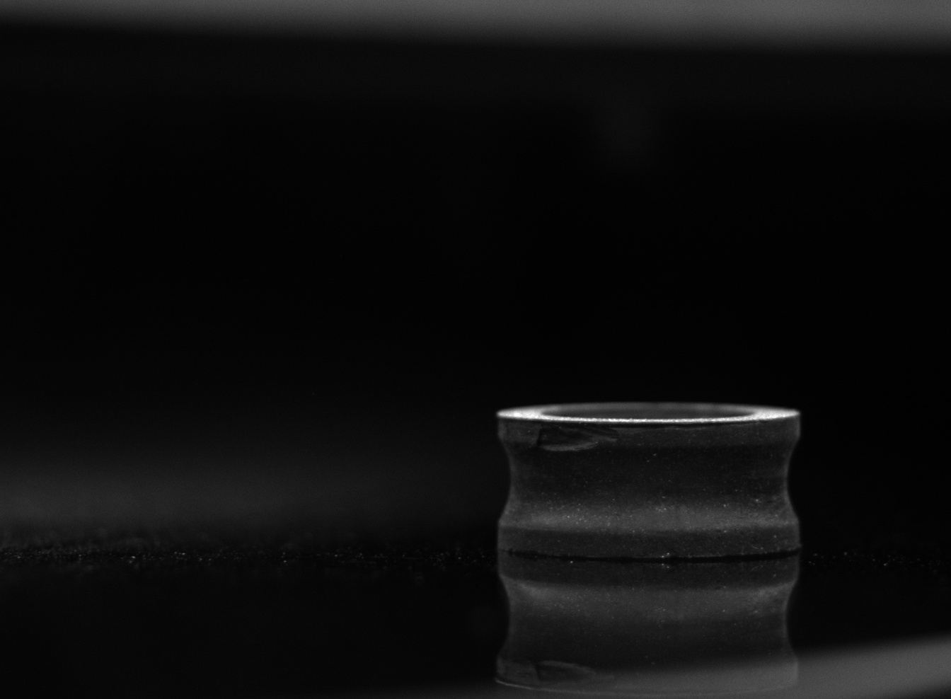 elas_side Instance Segmentation Dataset by d