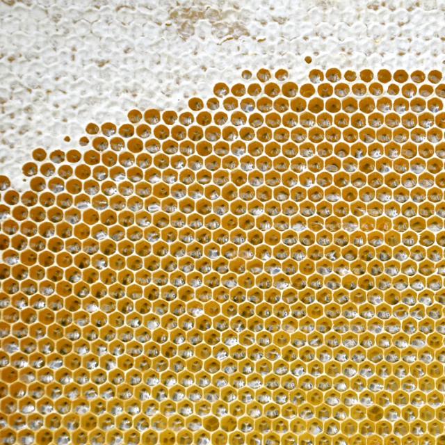 segmentation Instance Segmentation Dataset by Anannya