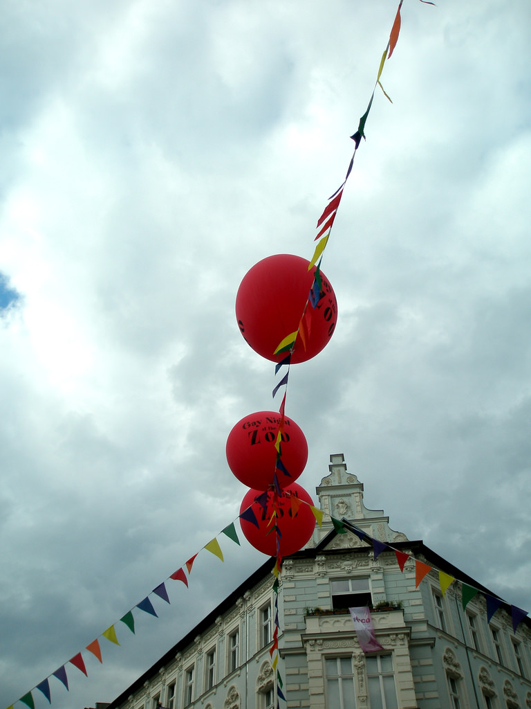 balloons Object Detection Dataset by Biorobotics Wombat