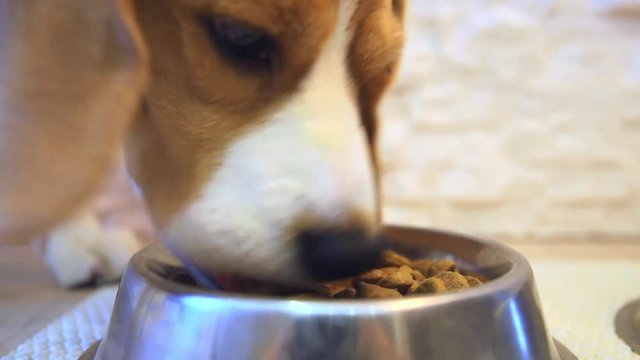 final project 3 Object Detection Dataset by project-gpb5h