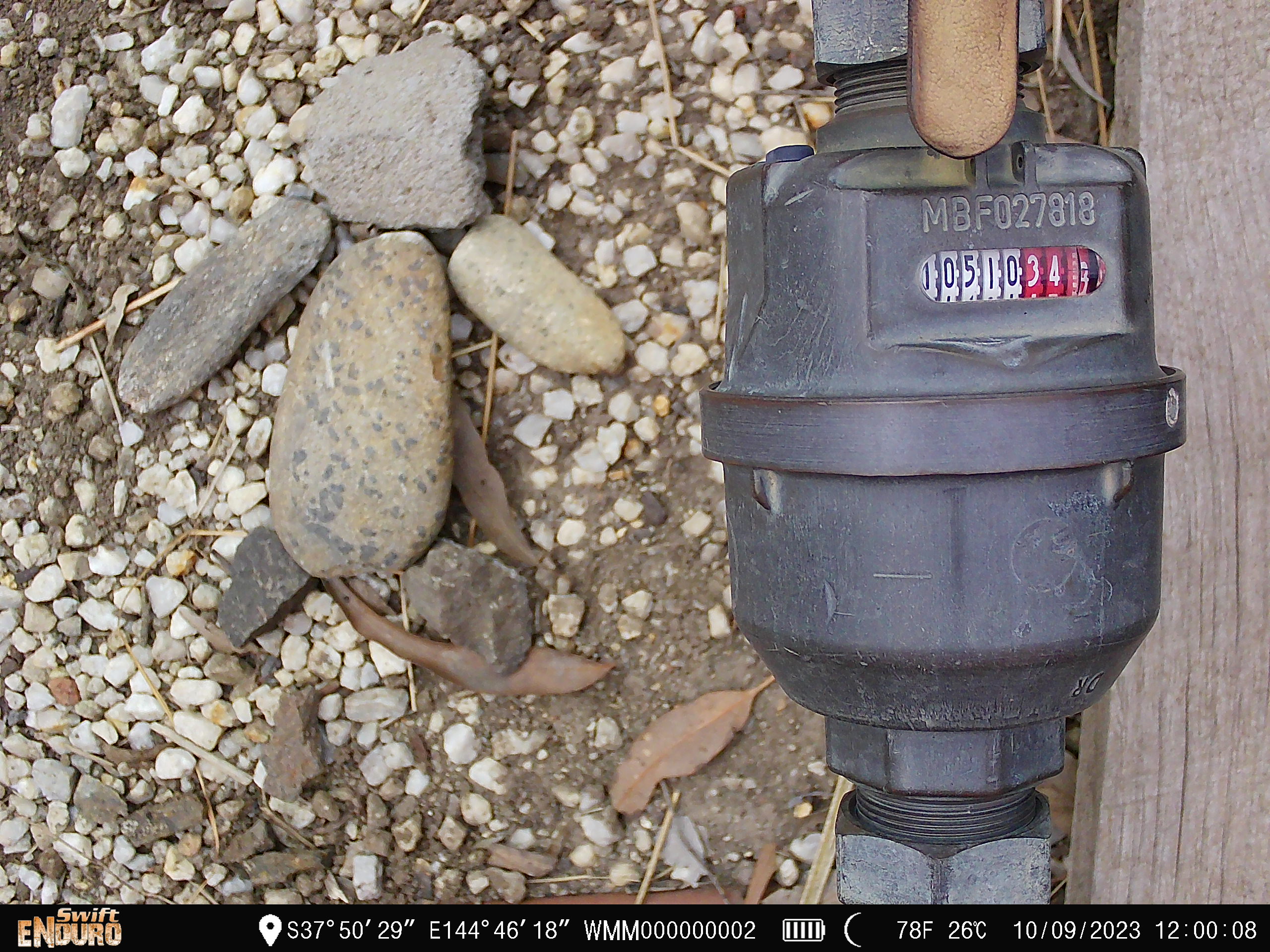 water_meter_preanno_roi Object Detection Dataset by DAC