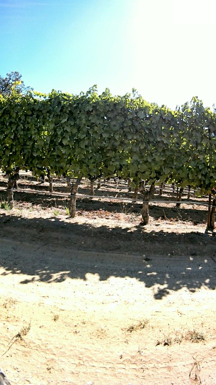 Simpsoft solutions - Roboflow Universe