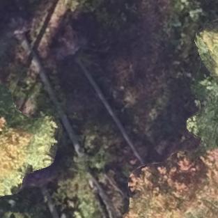 3 Instance Segmentation Dataset by zhao yunpeng