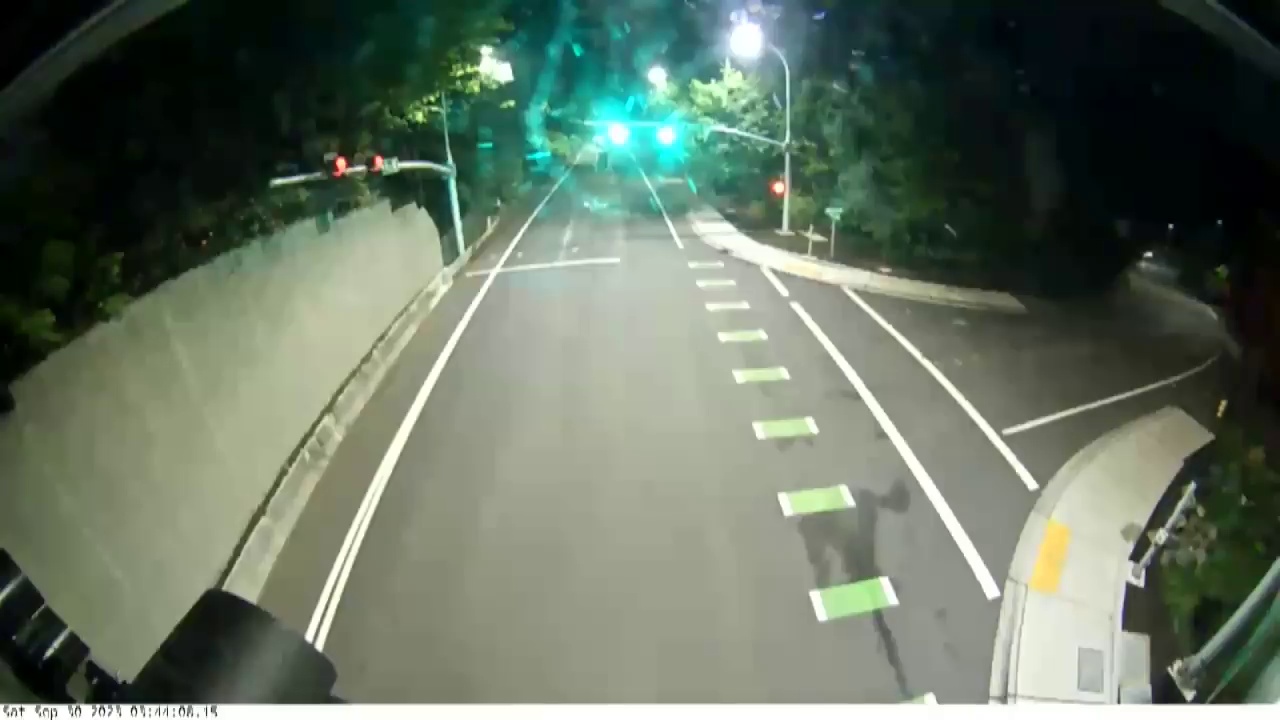 Pedestrian And Vehicle Object Detection Dataset And Pre Trained Model