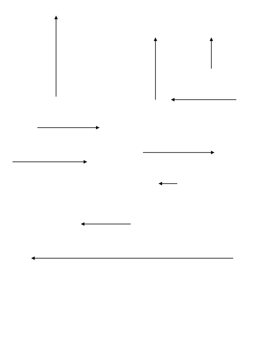 Arrow Segmentation Instance Segmentation Dataset by Vision