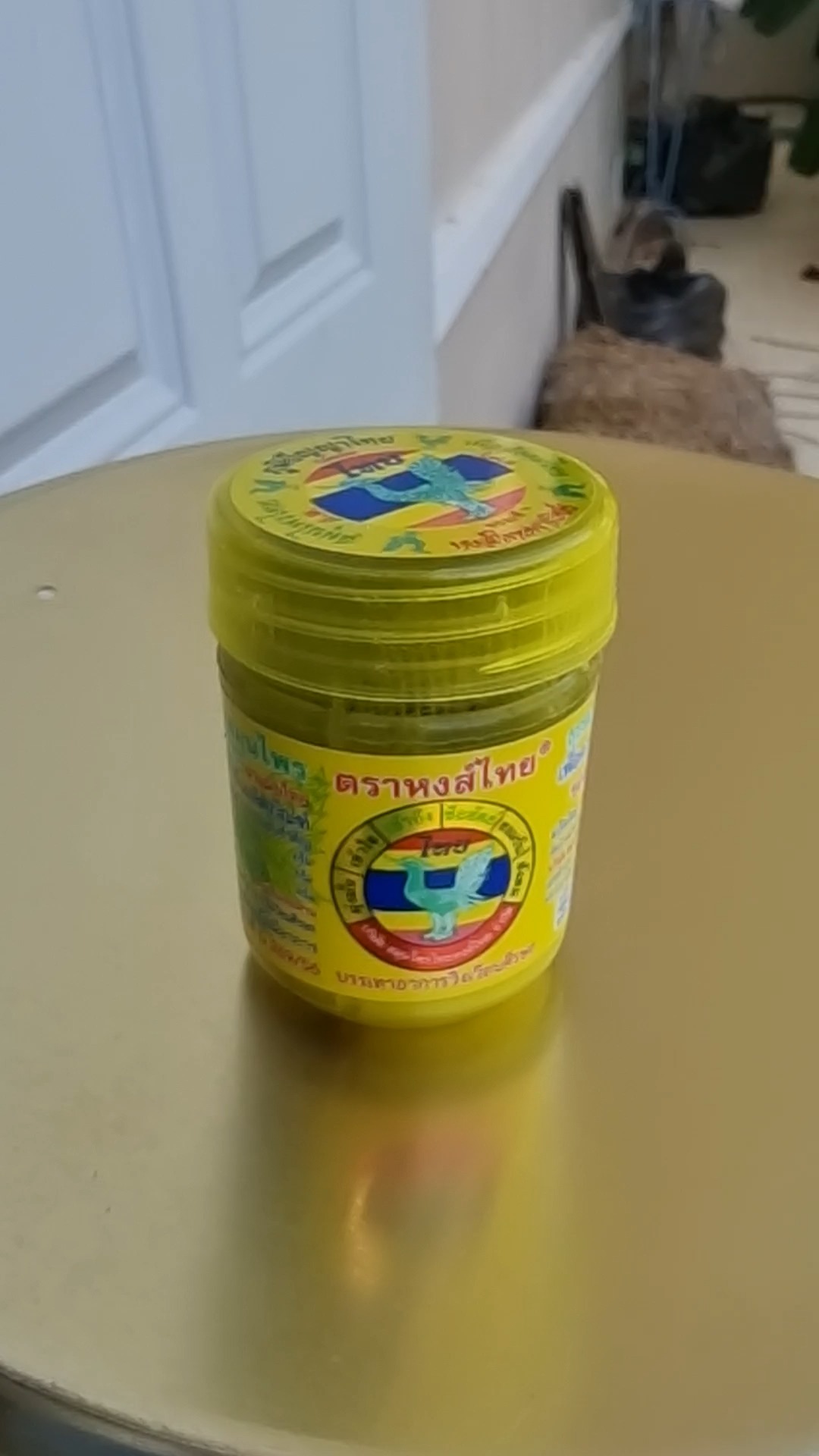 HONGTHAI Detector Object Detection Dataset and Pre-Trained Model by PHICHIT TECHNICAL COLLEGE