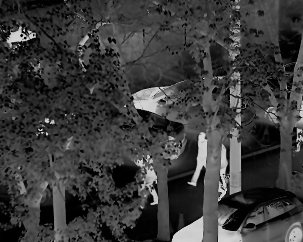 yolov9_kd Object Detection Dataset by wu min