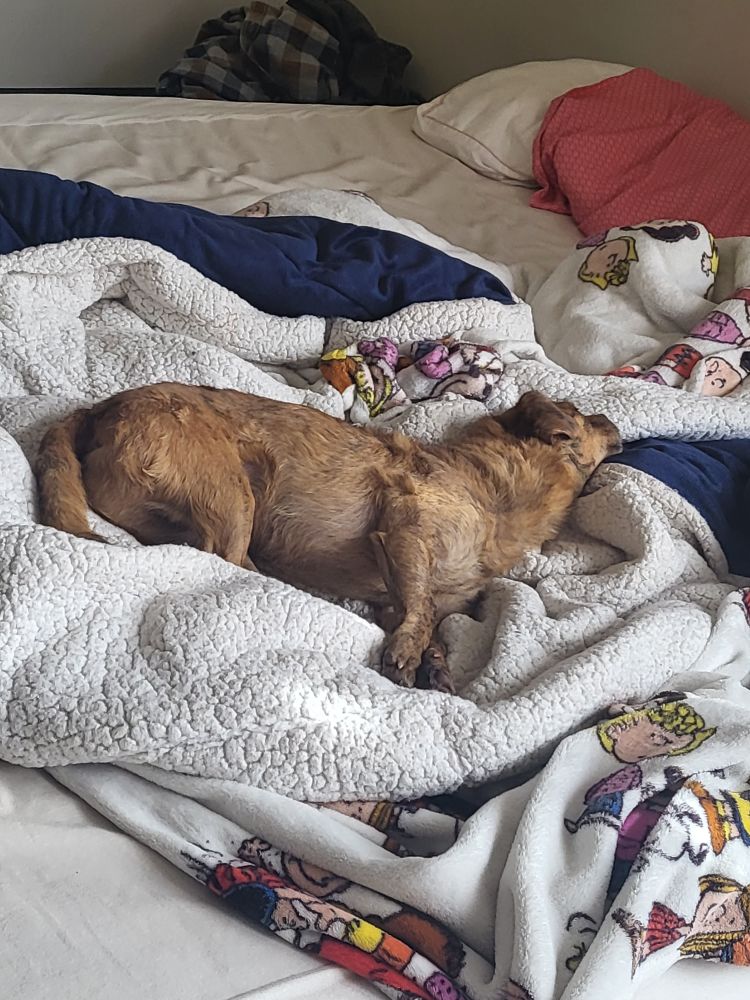 Hack and Dagger - Roboflow Universe