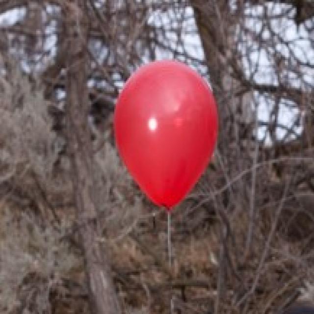 Balloon Object Detection Dataset by HTB