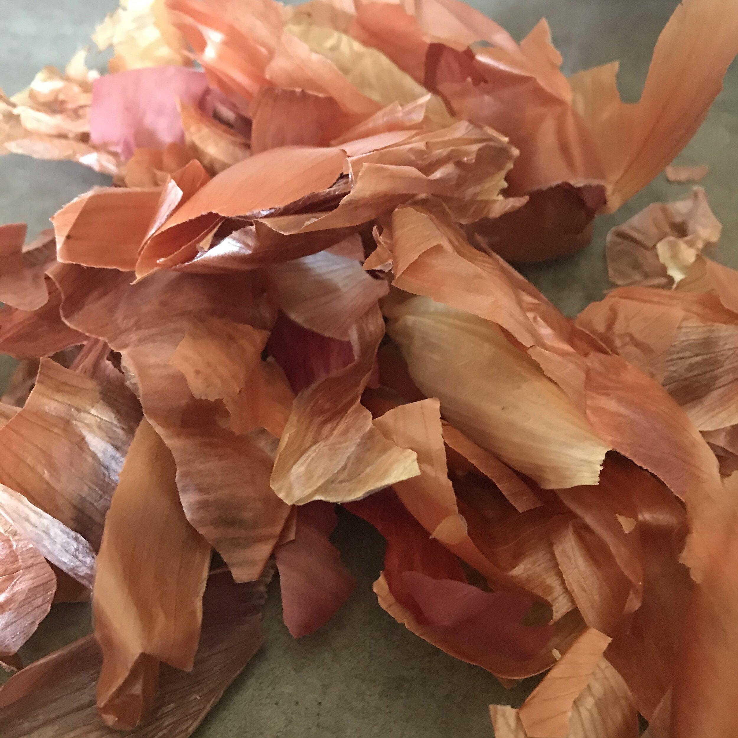 Waste contamination Detection Instance Segmentation Model by 360DigiTMG