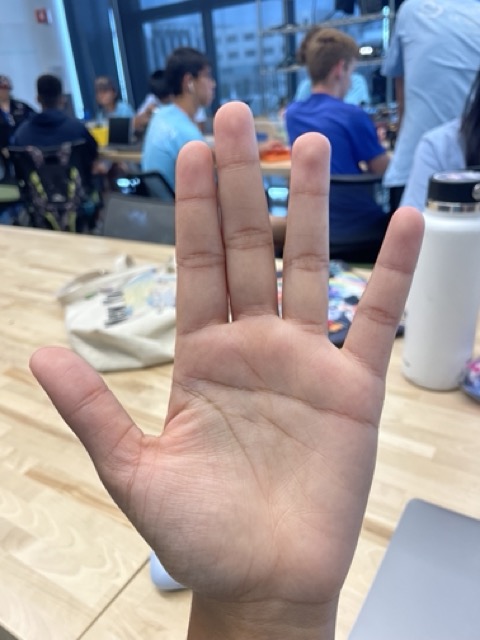 hand gestures Object Detection Dataset and Pre-Trained Model by project