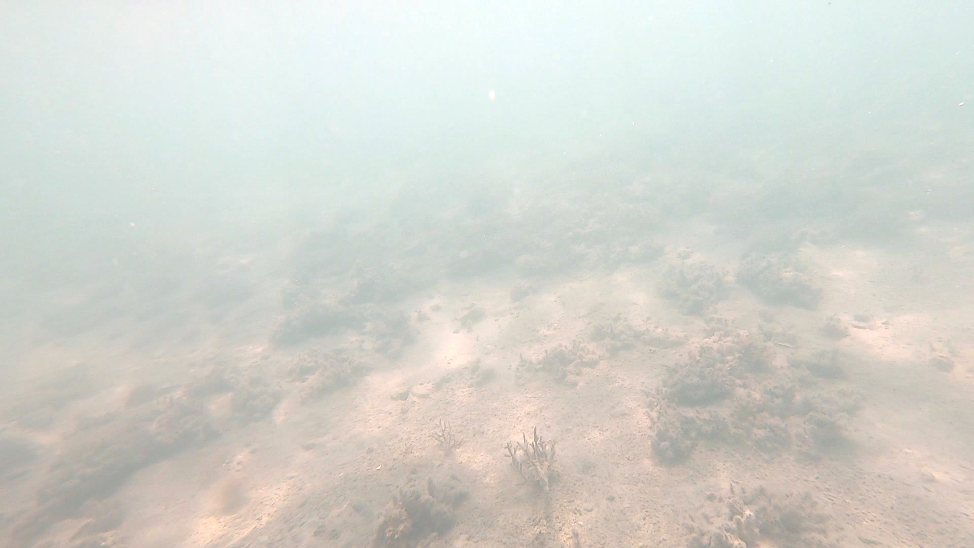 Seabed Instance Segmentation Model by train