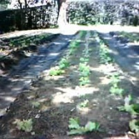 Json to VOC XML - Roboflow Universe