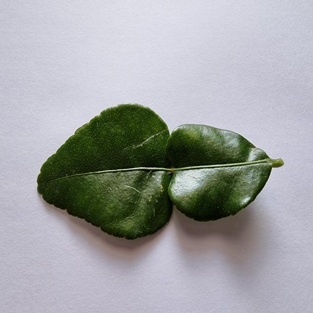 all_train2 Object Detection Dataset by new-workspace-cnxcn