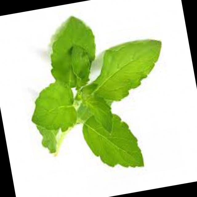 All Train Object Detection Dataset By New Workspace Cnxcn