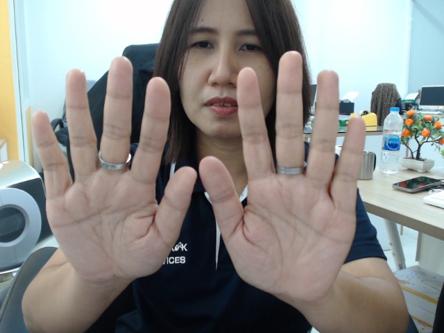 Hand Detection Object Detection Dataset By Vilawan Sornsangsen