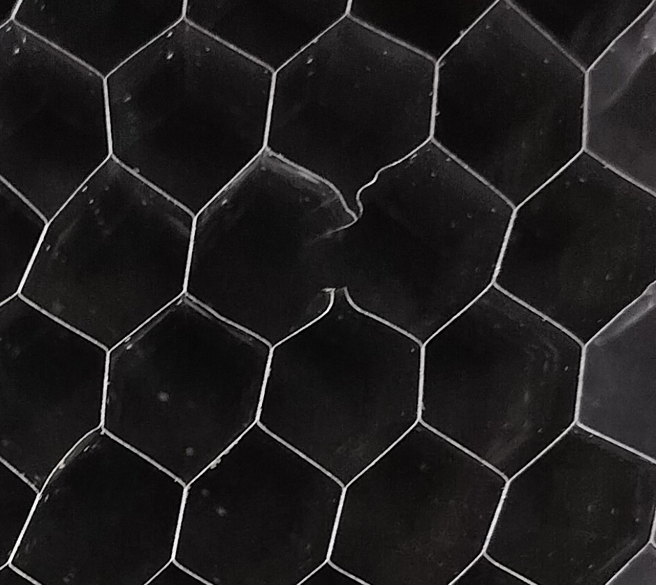 Honeycomb IITKGP 3 Instance Segmentation Model by Honecomb