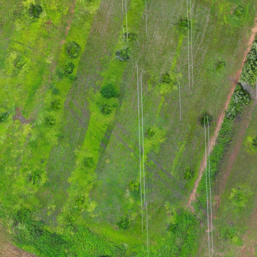 tree-annotation-cite-1-v5 Instance Segmentation Dataset by NMAgri