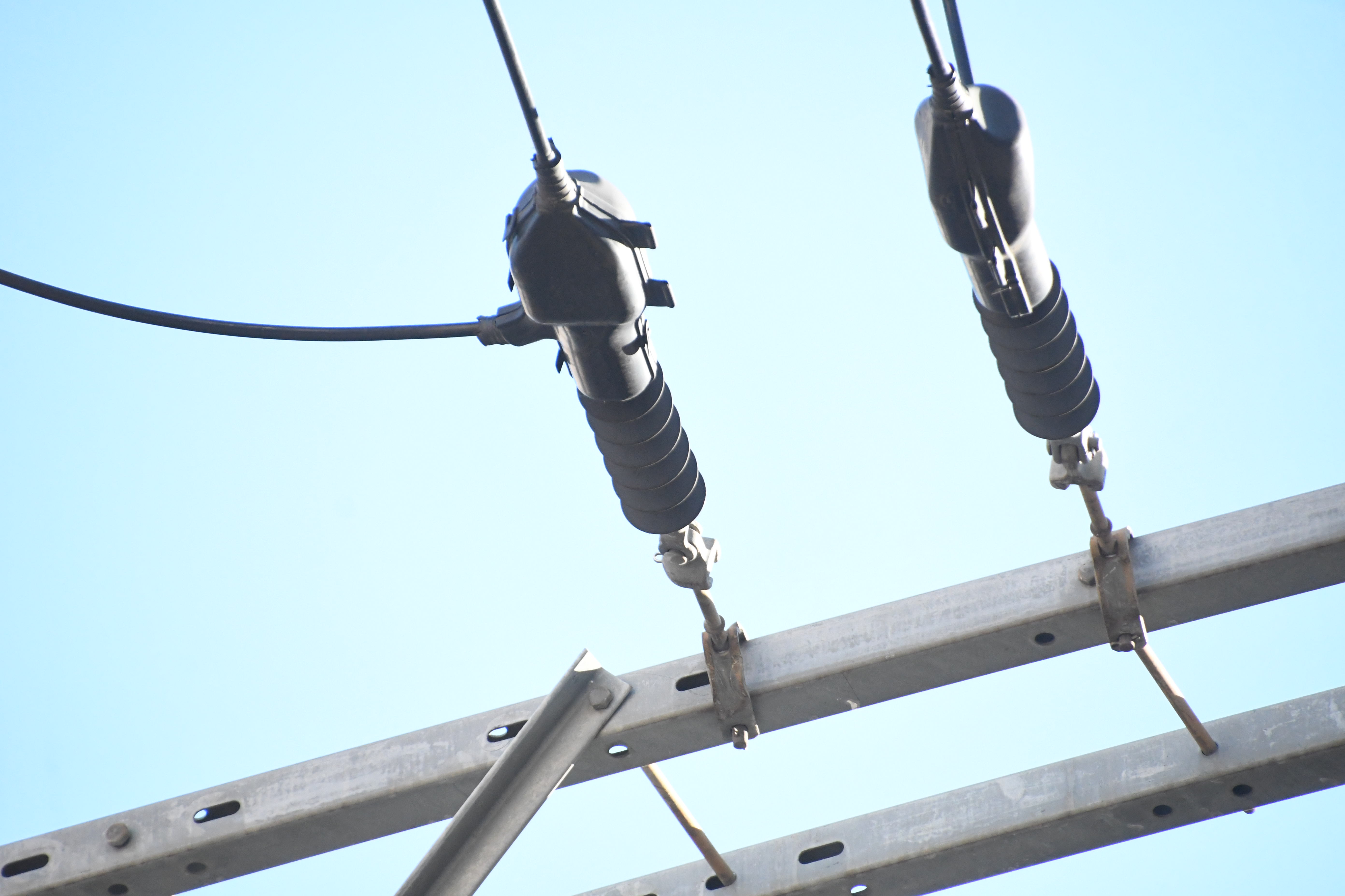 pole-test Instance Segmentation Dataset by hihi