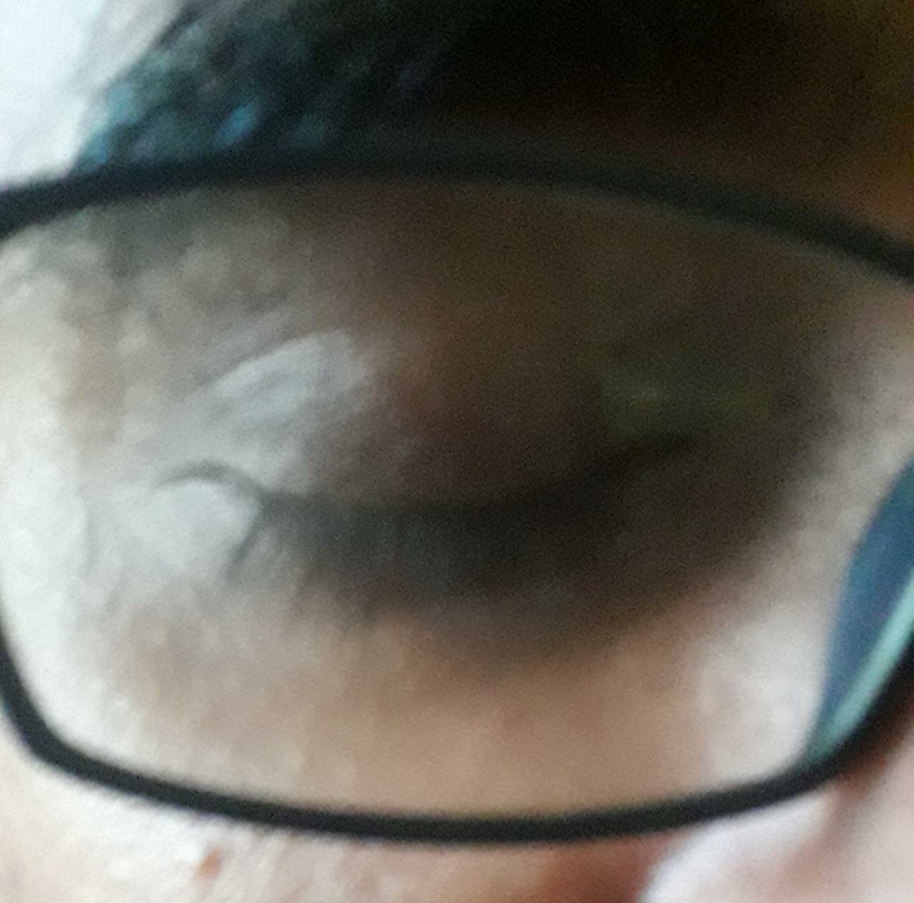 Drowsiness Detection Object Detection Dataset By Supcom