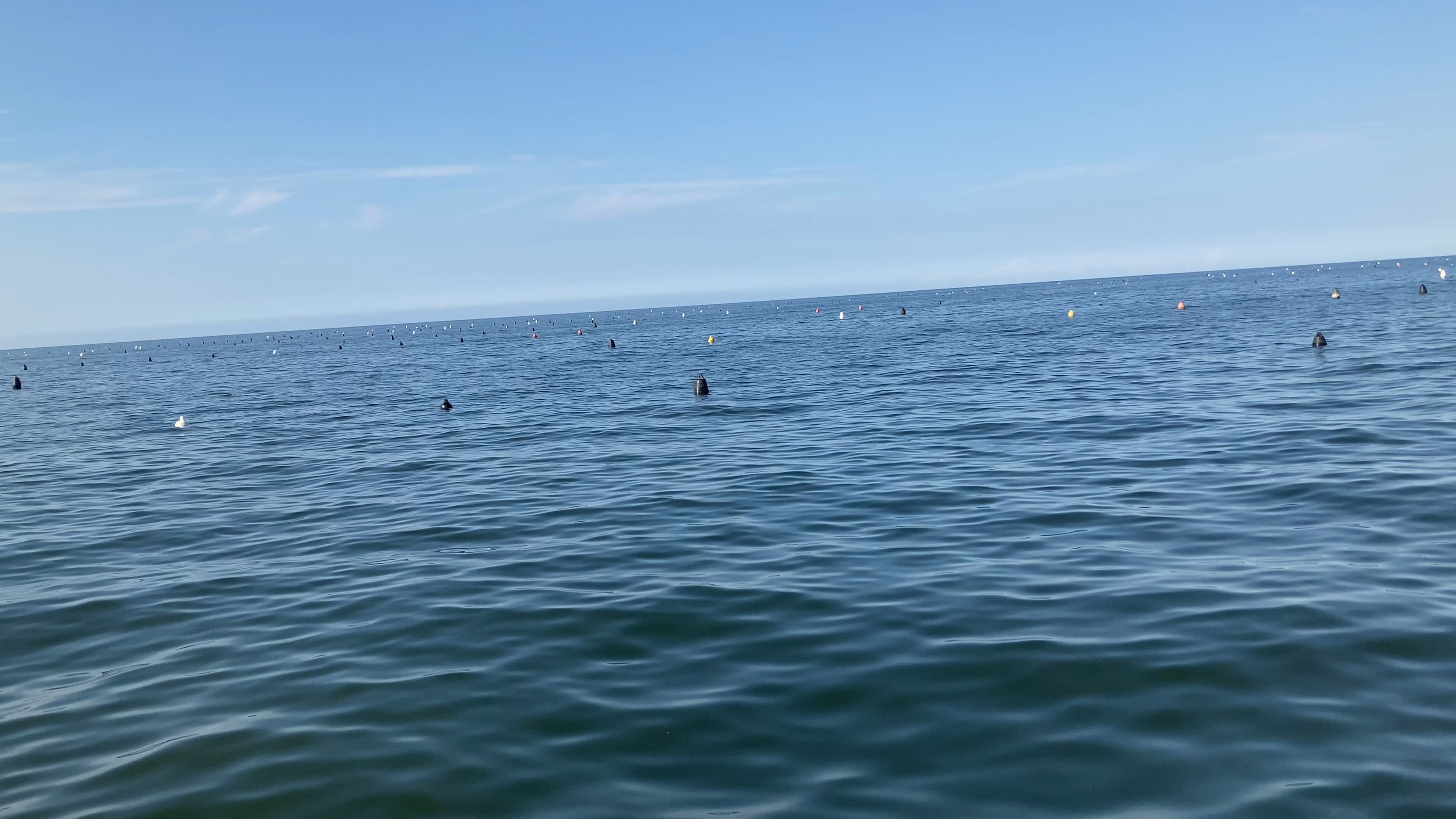 Buoys Detection Object Detection Dataset And Pre Trained Model By