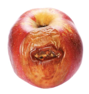 abcd Classification Dataset by study