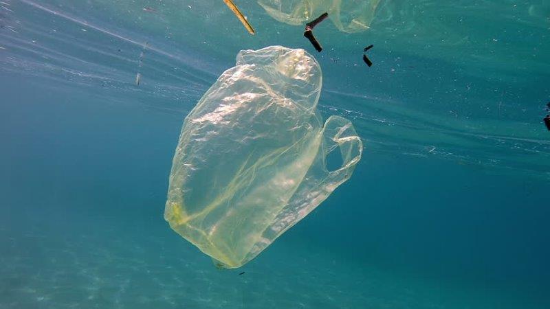 Waste classificator Object Detection Dataset and Pre-Trained Model by Nexus