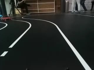 lane Instance Segmentation Dataset and Pre-Trained Model by Lane Detection by MIT WPU