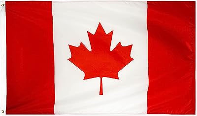 North American Flags Classification Dataset and Pre-Trained Model by School