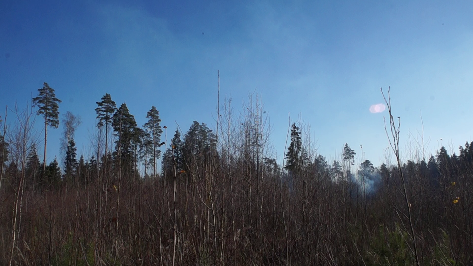 Wildfire and smoke Object Detection Dataset by Kapustin Danil