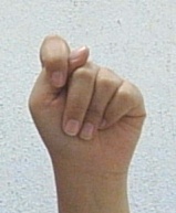 t-y Object Detection Dataset by LSM ty