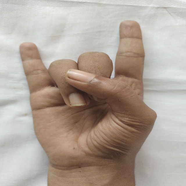 Tamil Signs Object Detection Dataset by College