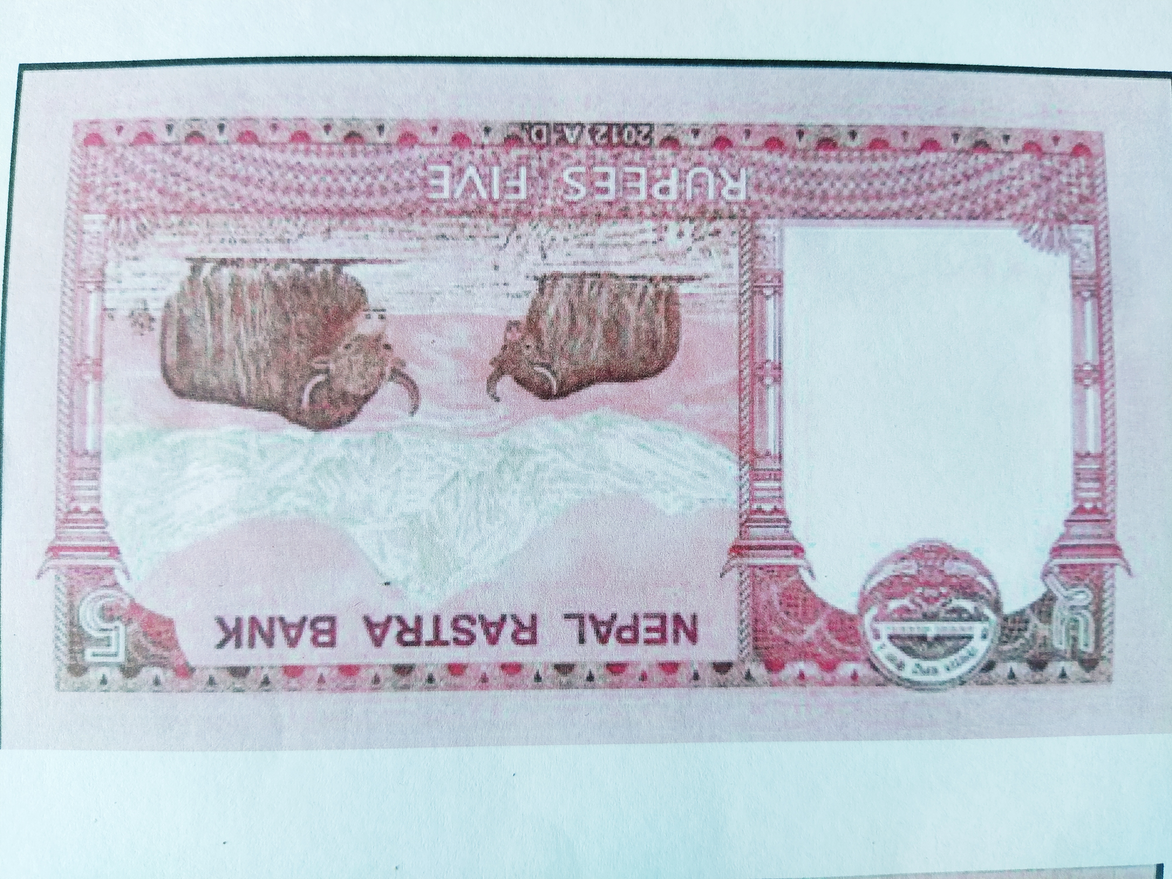Nepali Paper Currency Recognition Object Detection Model by NPCRelex