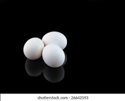 Food Ingredients Model Object Detection Dataset and Pre-Trained Model ...