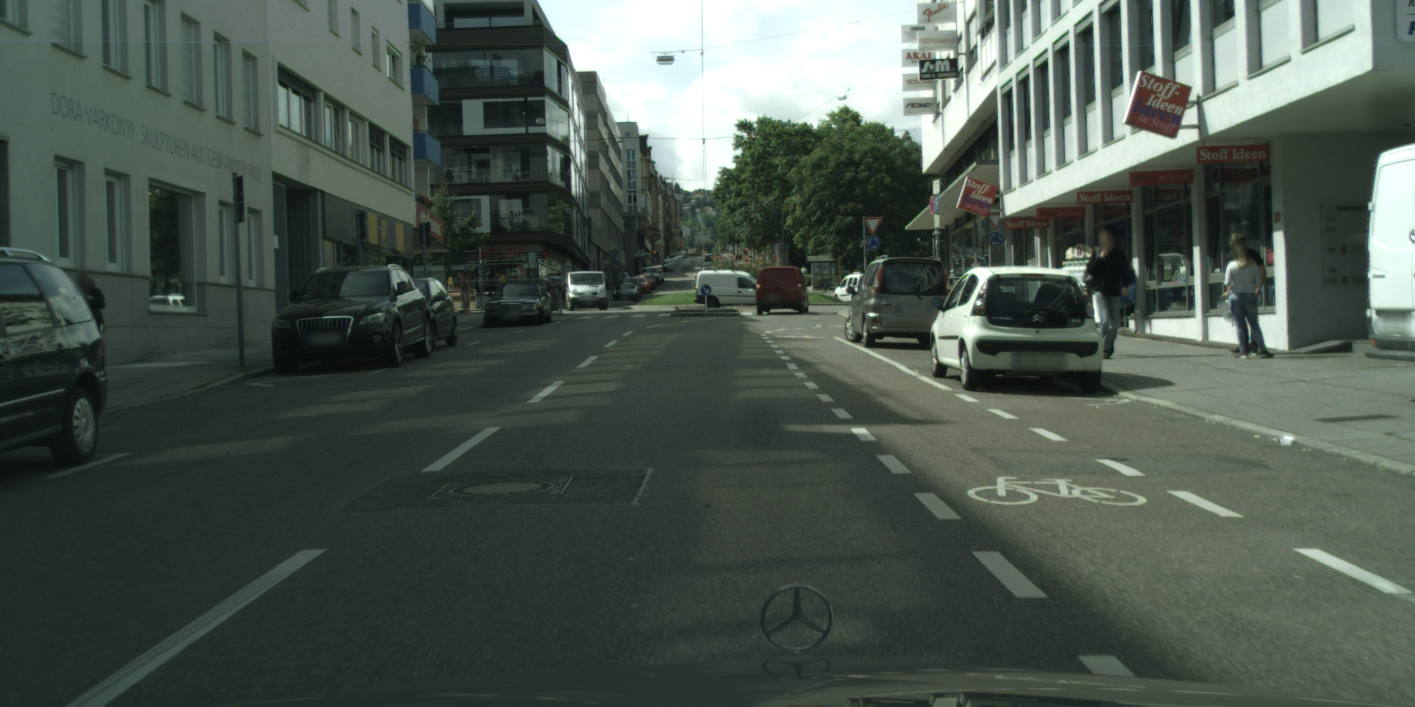 How To Use The Autonomous Driving Without Tree Wall Object Detection Api