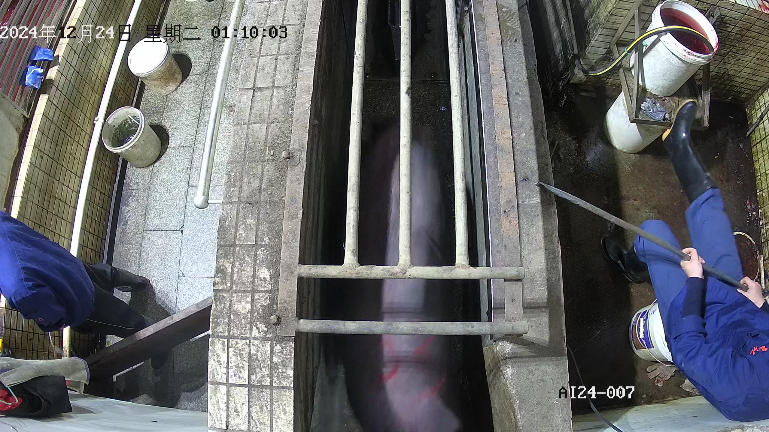 pig_e Object Detection Dataset by train