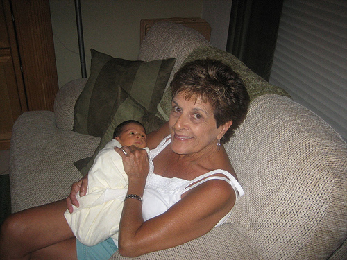 Tutorial Object Detection Dataset and Pre-Trained Model by tutorial