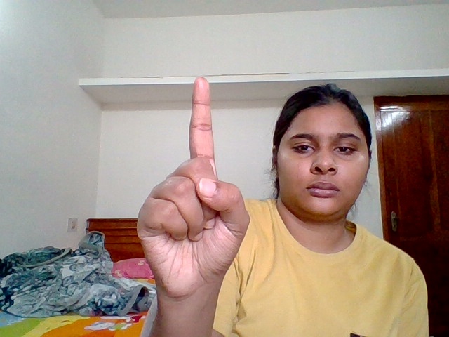 Hand Signal Detection Object Detection Dataset And Pre Trained Model By Sruthy Sajeev