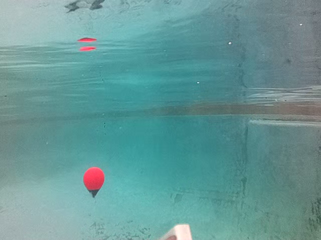 Object Detection 2024 Object Detection Dataset By Object Detection