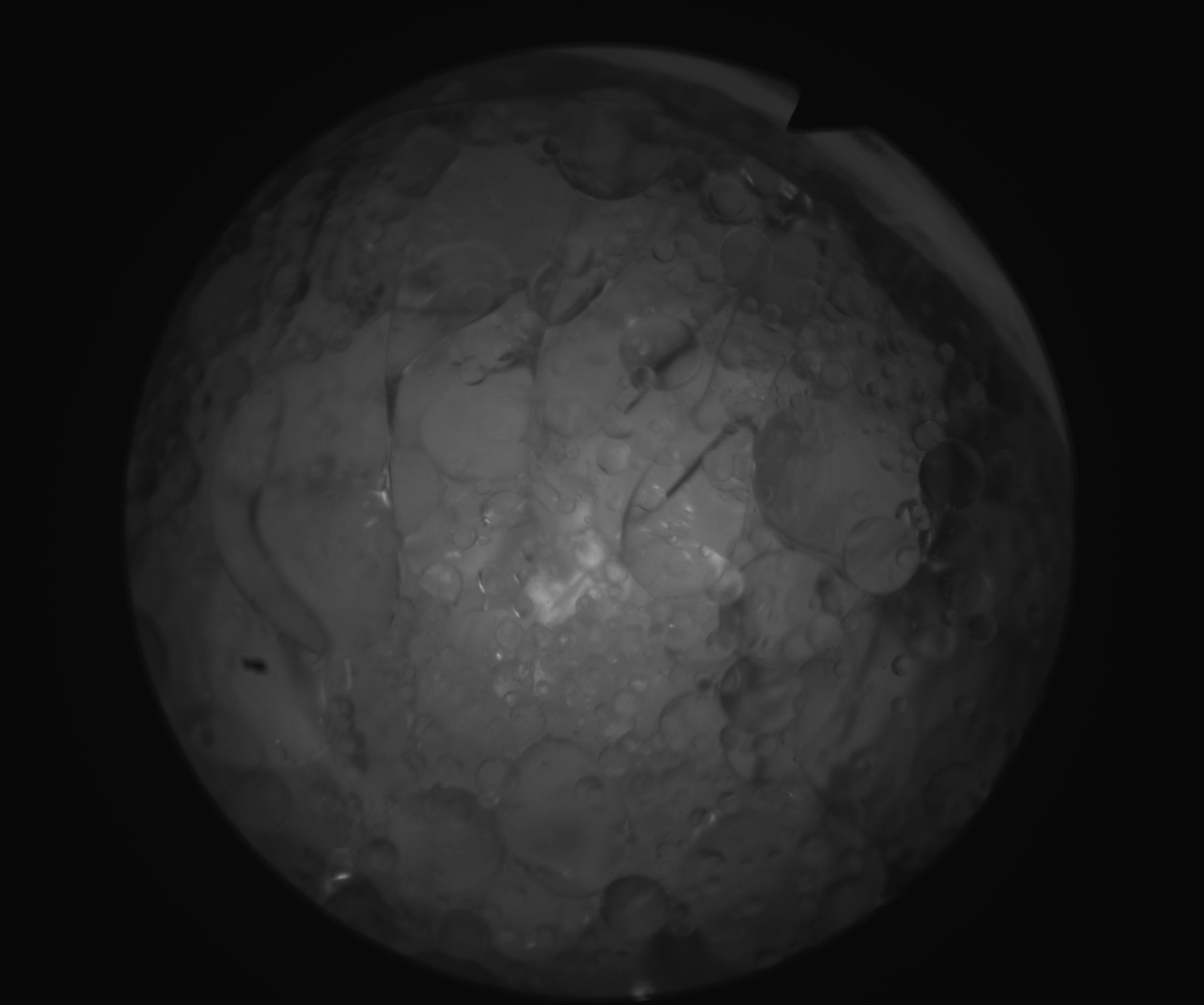 Separator octanol water Object Detection Dataset by YoloOctanolwater