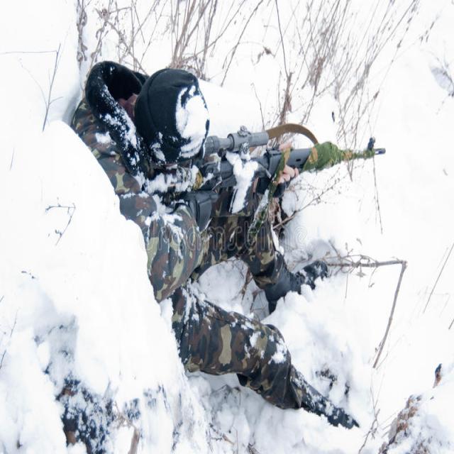 Camouflage Detection Object Detection Model By Camouflagedetection