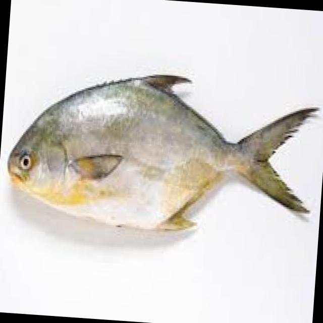 Fish Classification Classification Dataset By Isdaknow