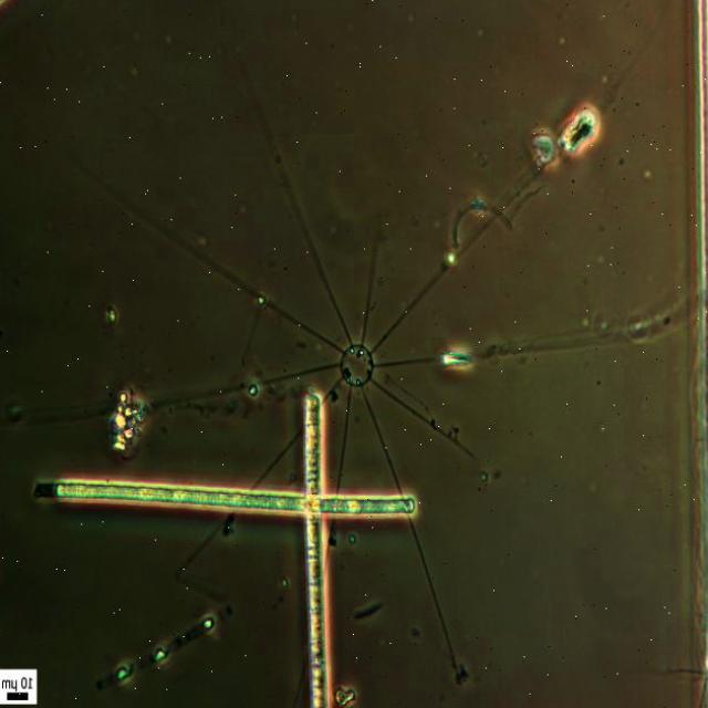 222 Classification Model by AngelWeis