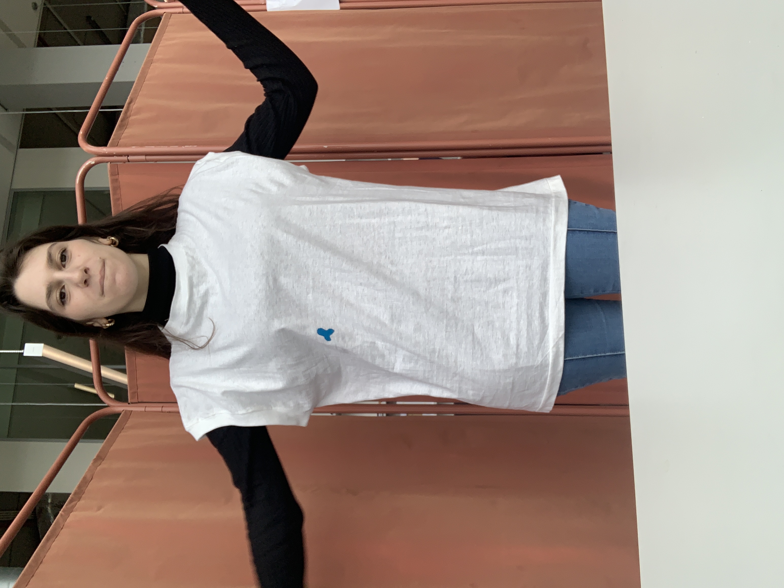 AI vision Object Detection Dataset and Pre-Trained Model by Daniels board